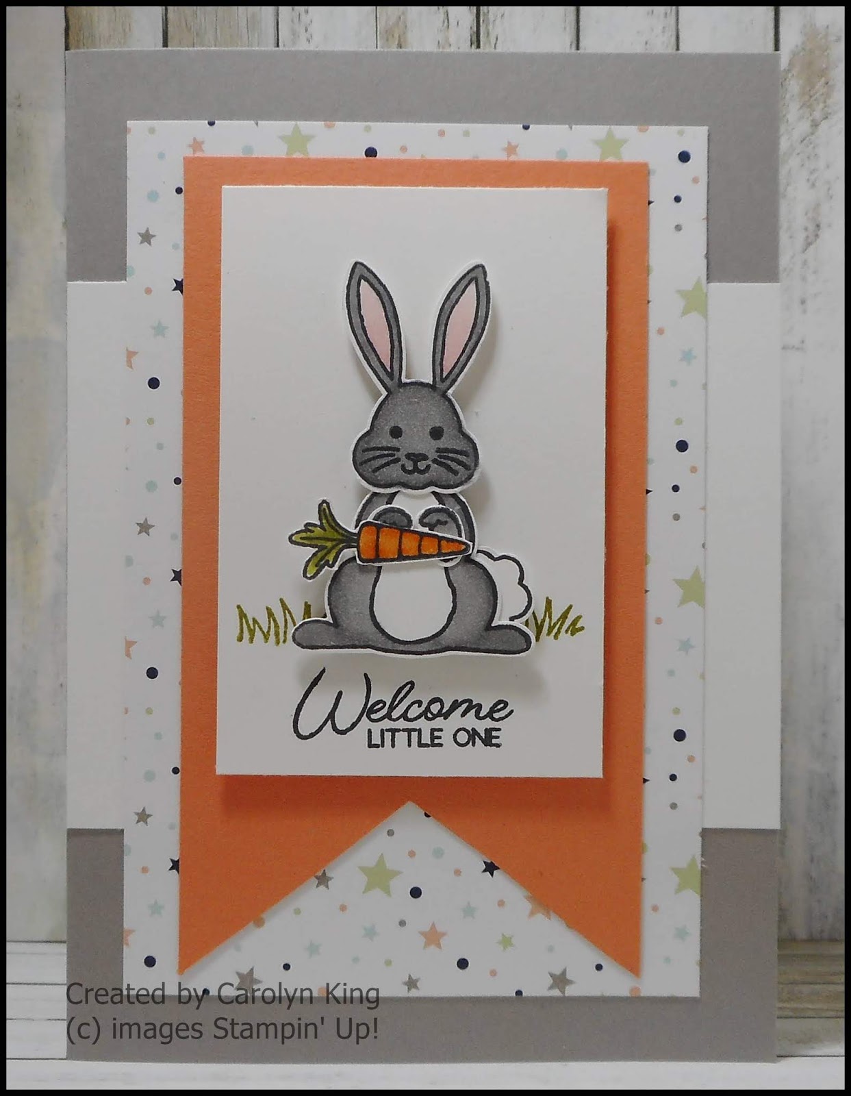 Carolyn King: Welcome Little One