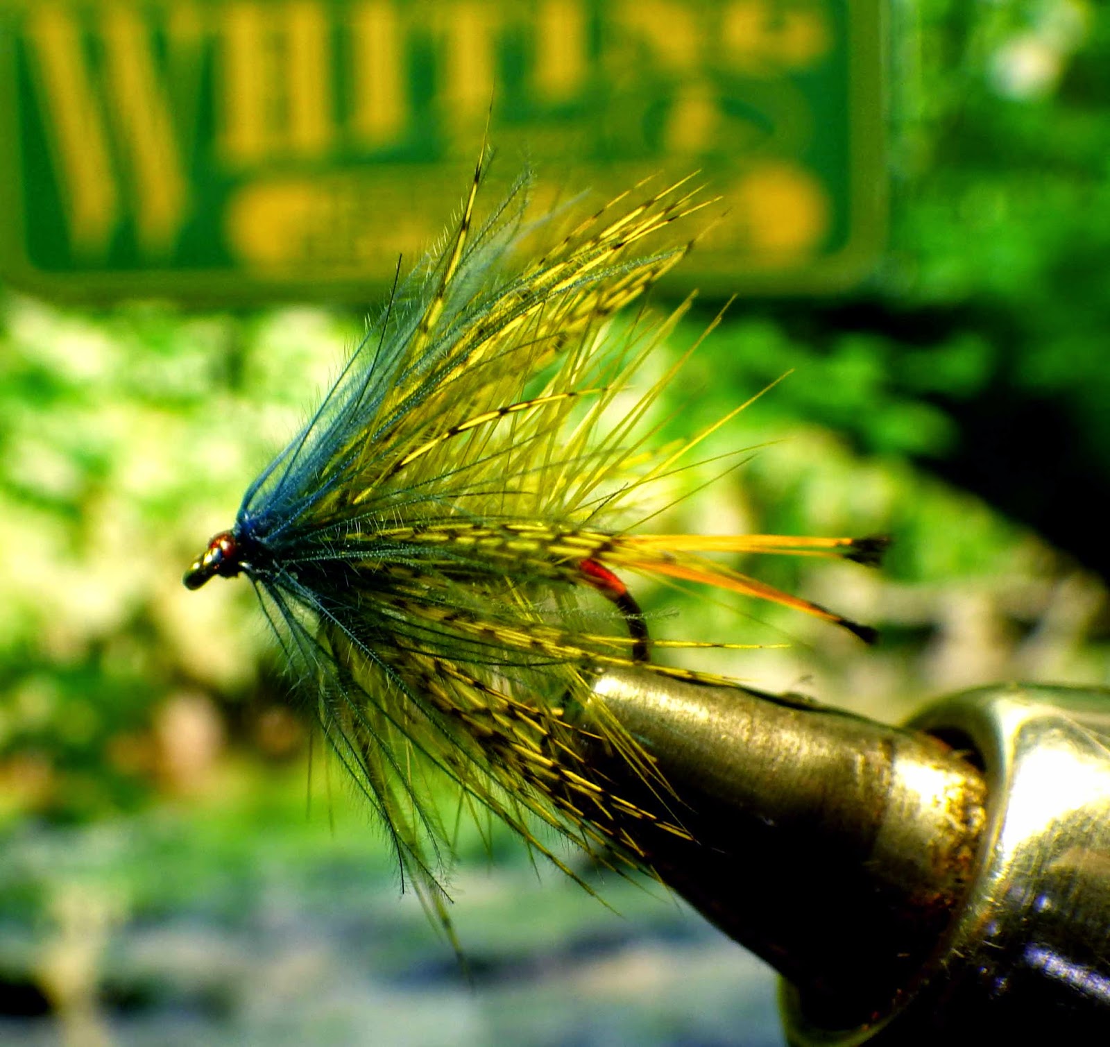 Finney's Flies: 2015