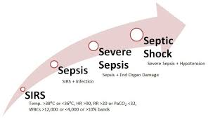 E learning: SIRS en Sepsis// - Acute Zorg Blog