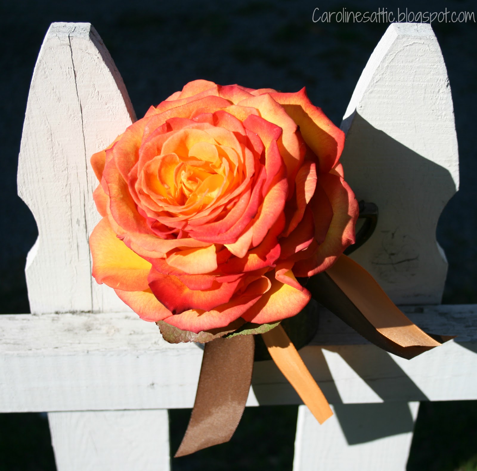 Caroline's Attic: Dutchess Roses