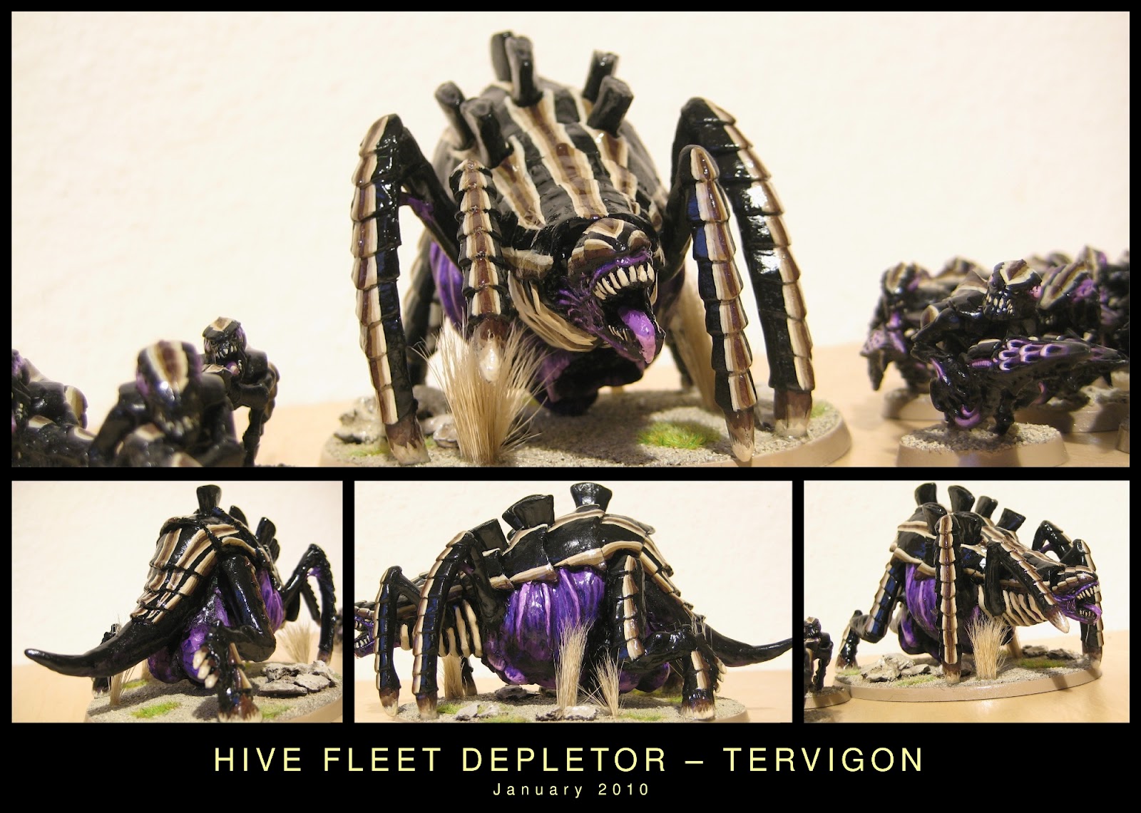 Dark Future Games: A Salute to the Tervigon: A Gallery of Amazing ...