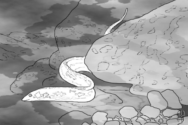 Comment ça se dit en français?: il y a anguille sous roche