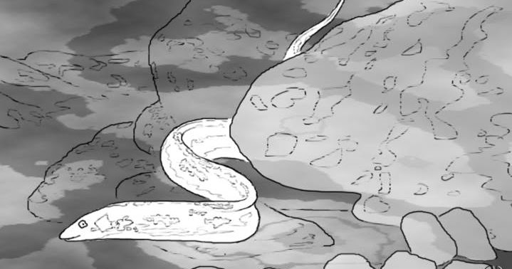 Comment ça se dit en français?: il y a anguille sous roche