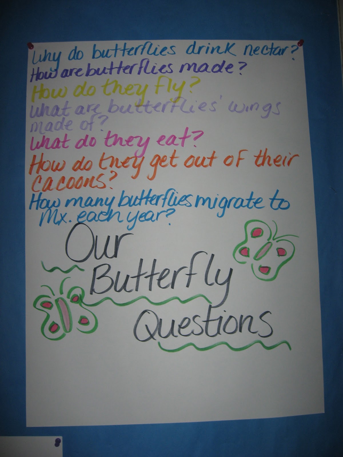 News From The Hive Life Cycle Of A Butterfly news-from-the-hive-life-cycle-of-a-butterfly