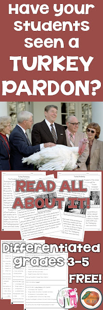 The Primary Peach: Pardon that... TURKEY?!