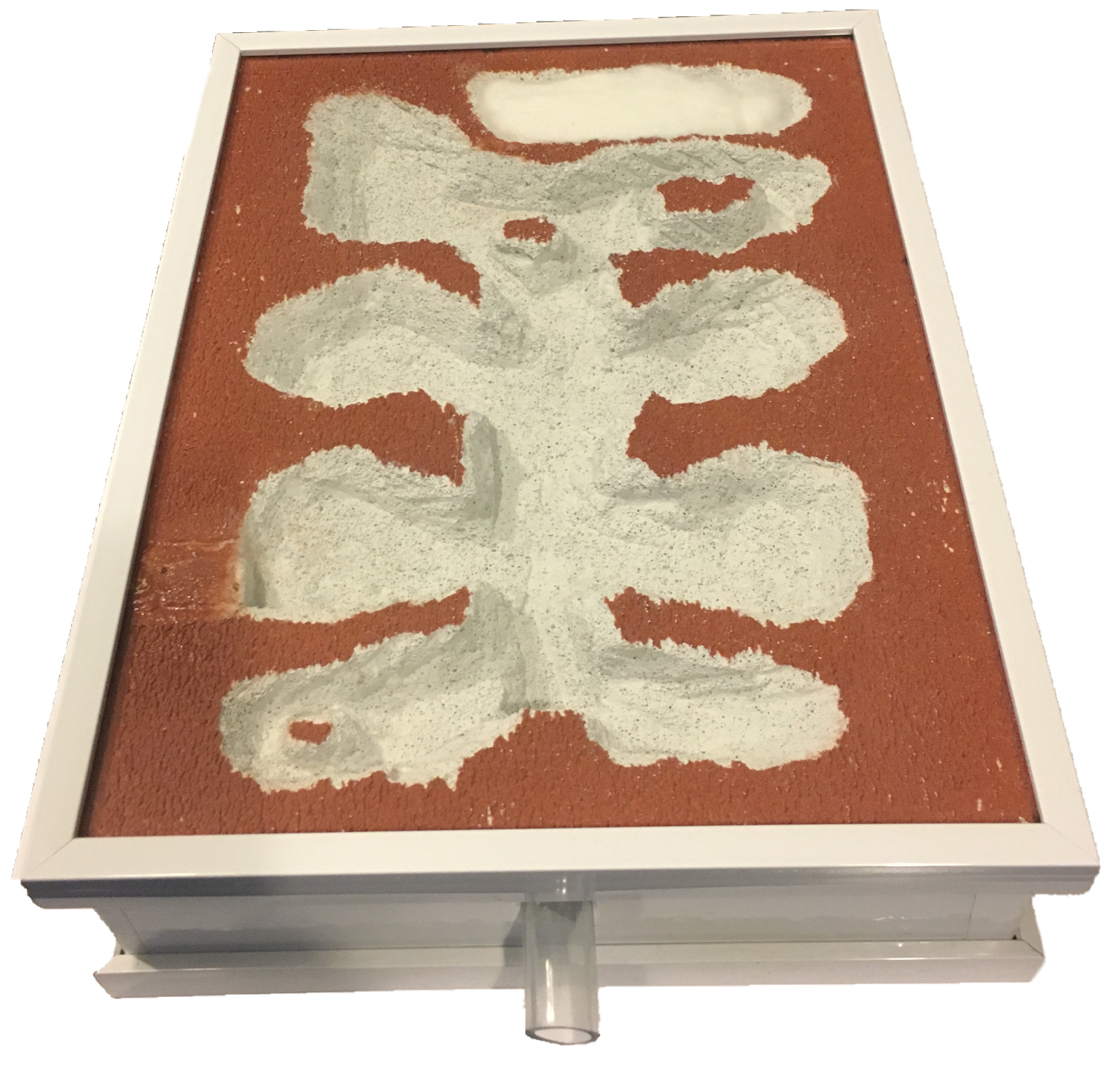 Formicai Artigianali Disponibili! ~ Il Mondo delle Formiche - Vendita e ...