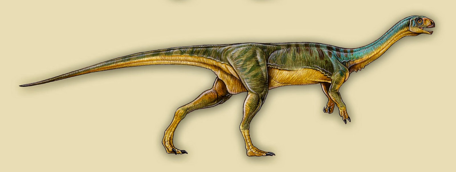 CRIATURAS Y HUMANOIDES: EL "CHILESAURUS DIEGOSUAREZI"