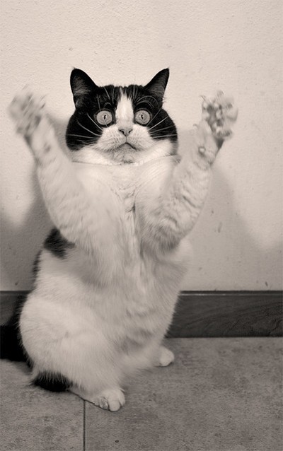 Lillys Lace: My blog has been HEALED!!