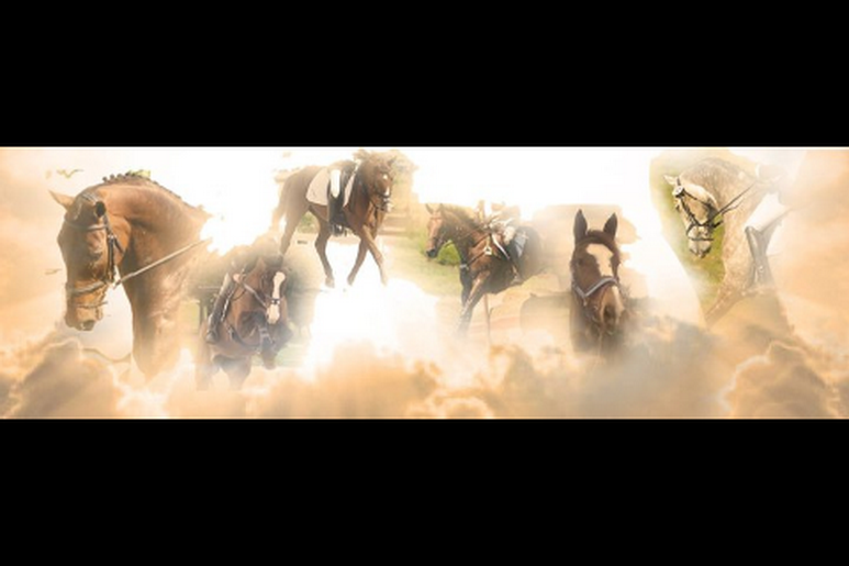 Boyd and Silva Martin: Boyd Martin Thanks Everyone For Support After ...