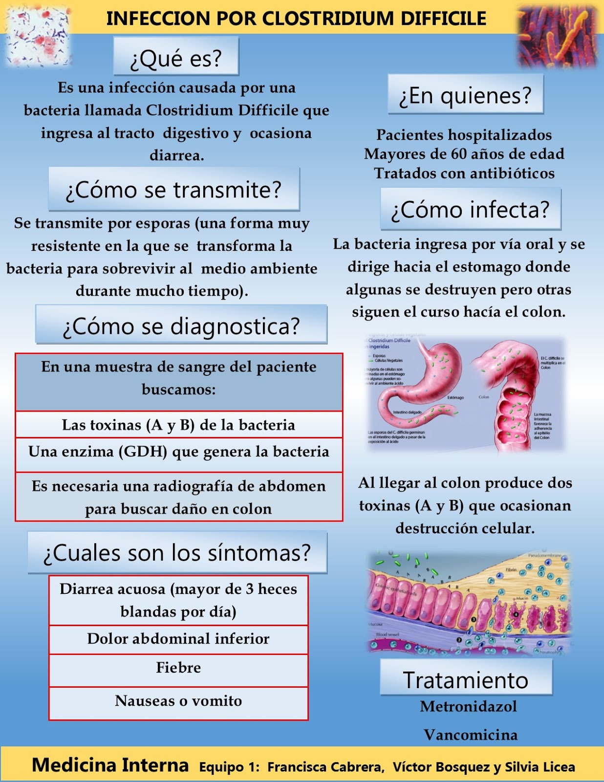 DIVULGACIÓN CIENTÍFICA UG: Infección por Clostridium Difficile
