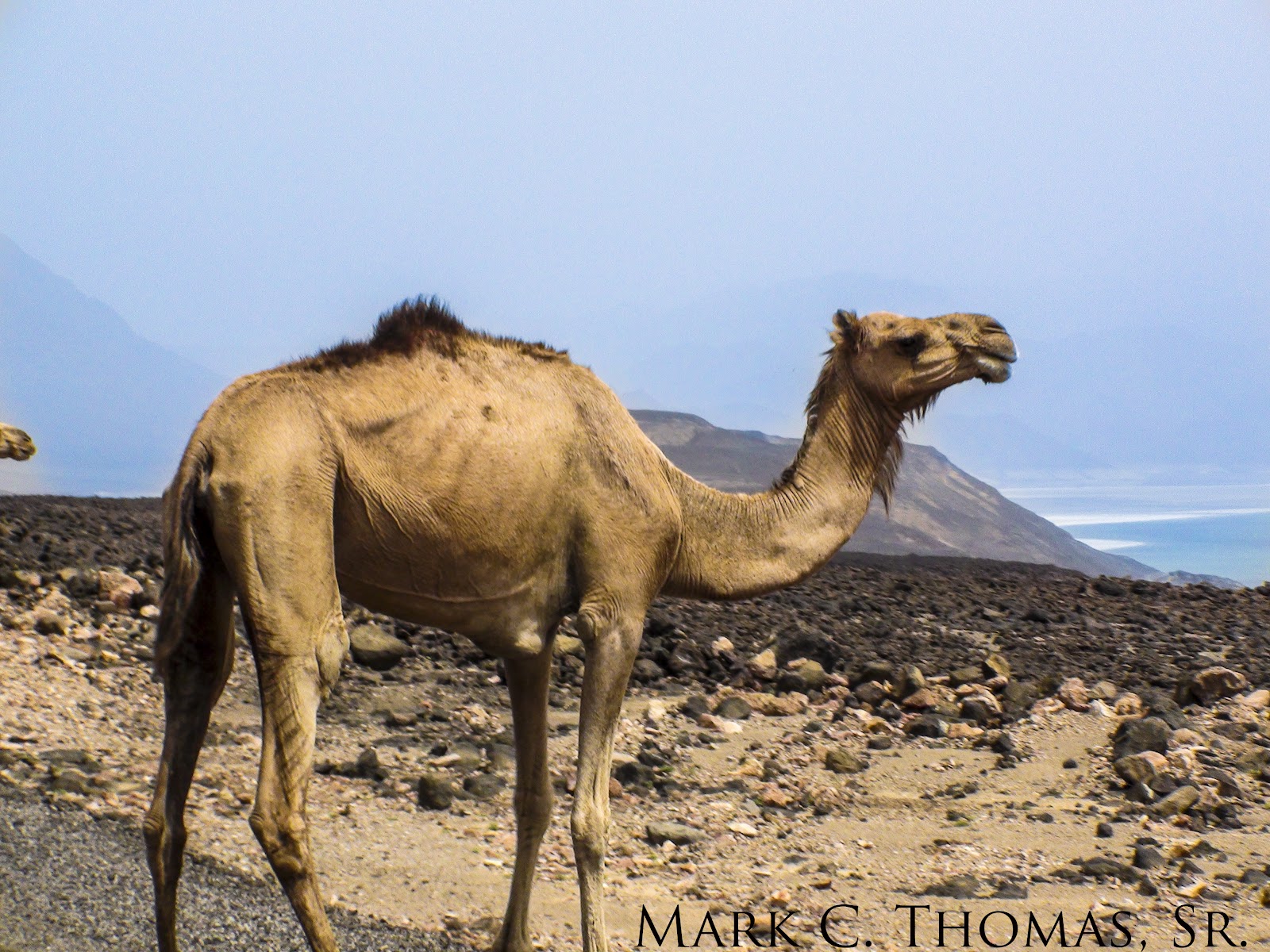 Djibouti: Grand Canyon, Lake Assal