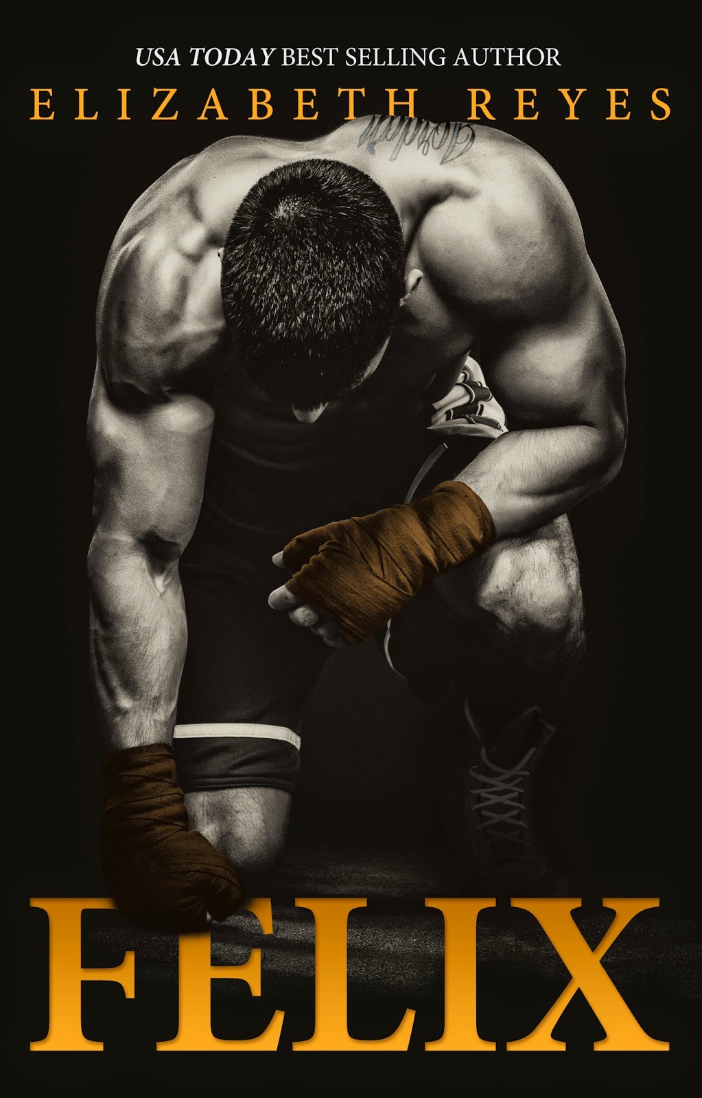 The Beginnings... by romance author Elizabeth Reyes