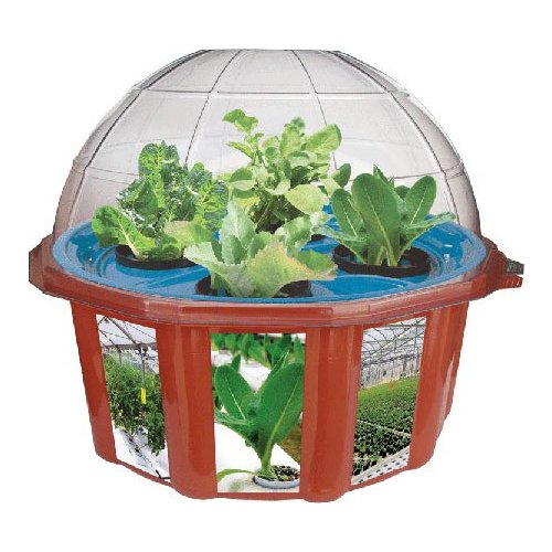 Cool Science Toys: Cool Science Plants