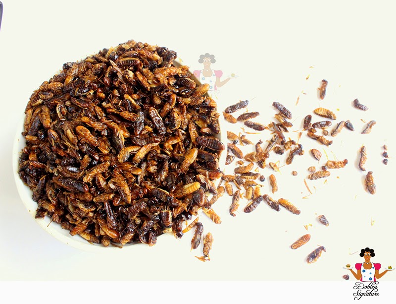 Edible winged termites "Aku, Esunsun, Shinge" - Naija News Live