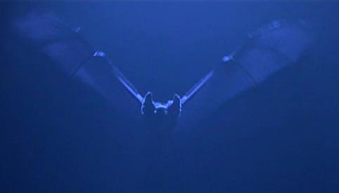 Chas Blankenship's Bat-Mania: "Batman Forever" - Original Motion Picture Score (Elliot ...