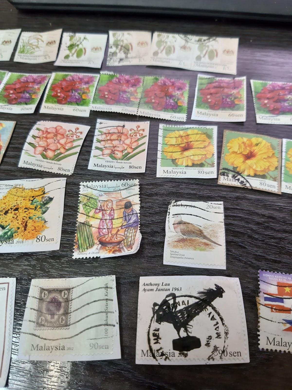 DANA: BELAJAR MENGUMPUL SETEM