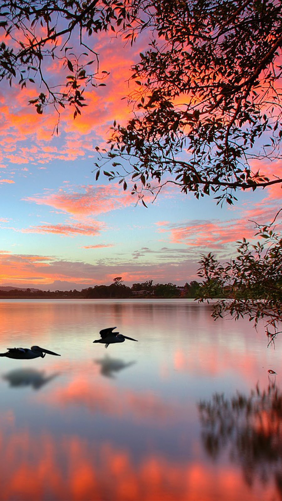 Fondo android pack 189