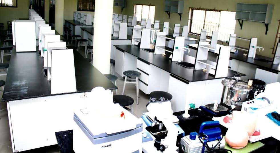 Hallmark University now accepting applications for its pre-degree programme