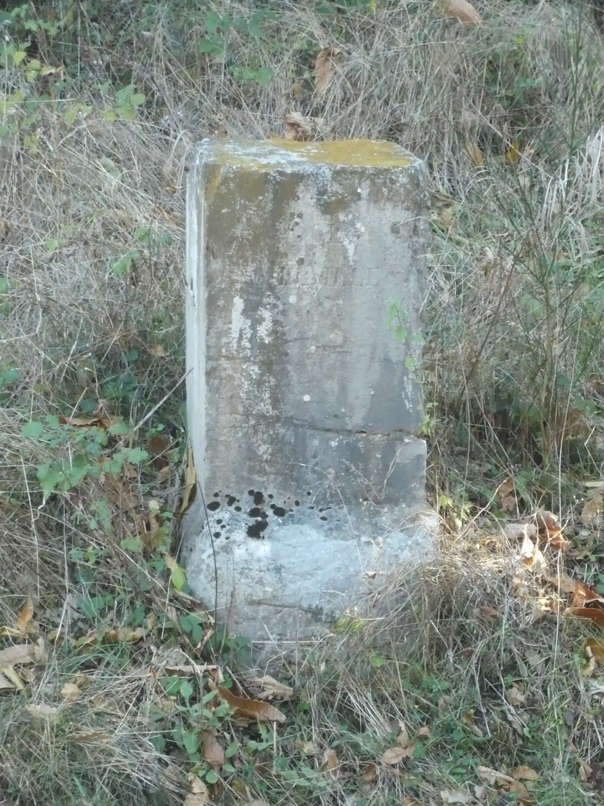 Histoire de Palol: Le relief de Palol