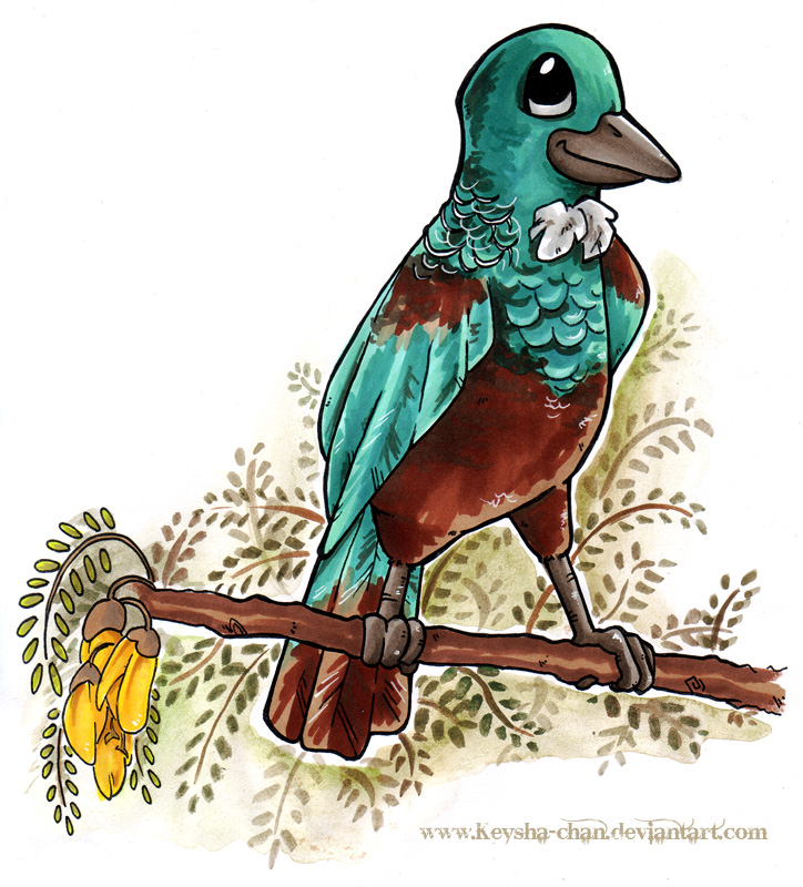 marker and ink: Tane the Tui