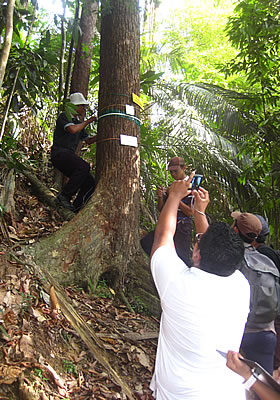 Forest Dweller: Field Trip - Segari Melintang Forest Reserved and Eco ...