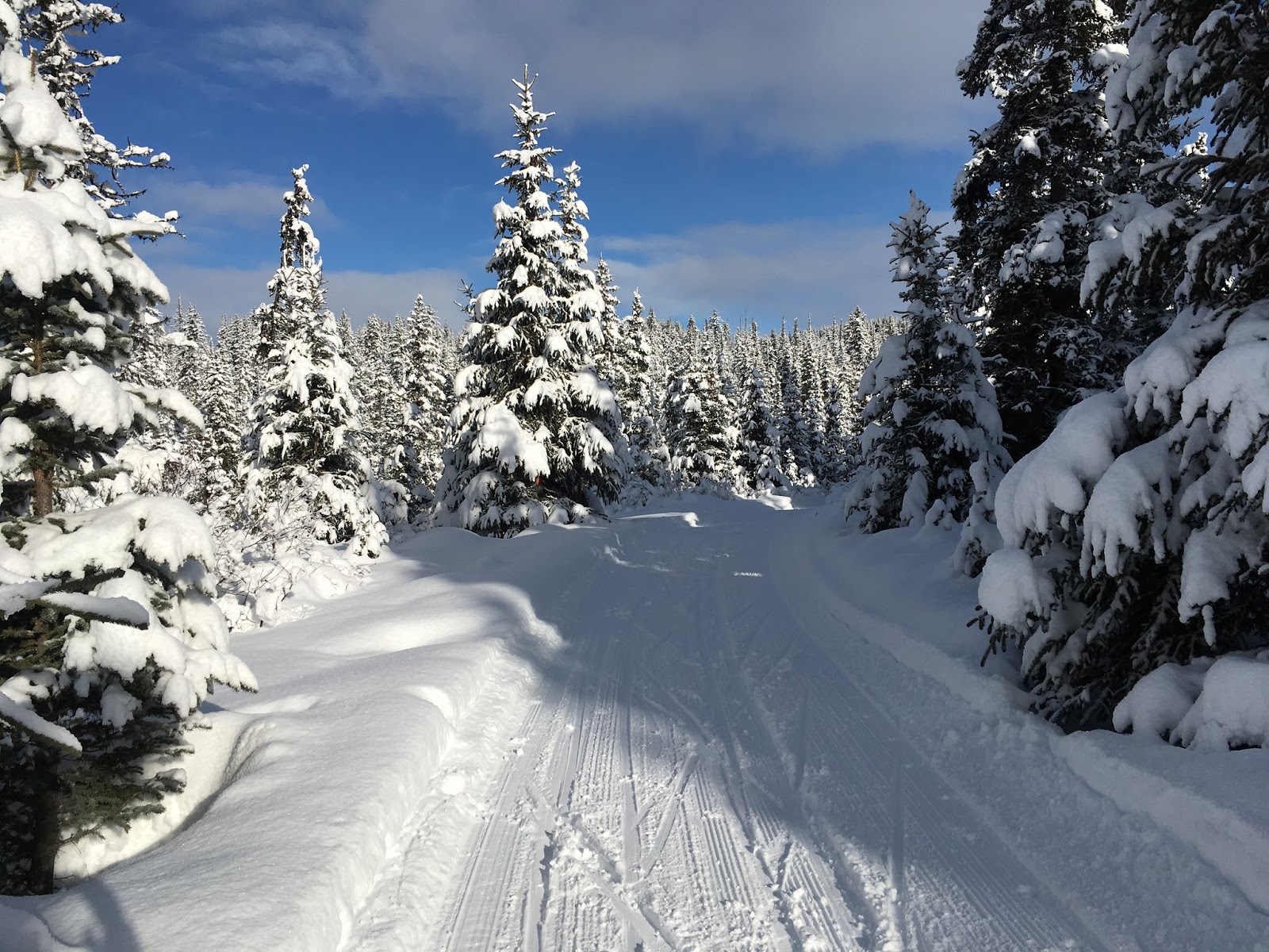 Life in Alaska — A View From Homer: Let it Snow! Let it Snow! Let it Snow!