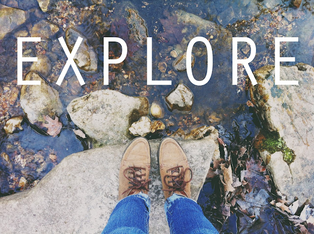 One Fine Pine: EXPLORE