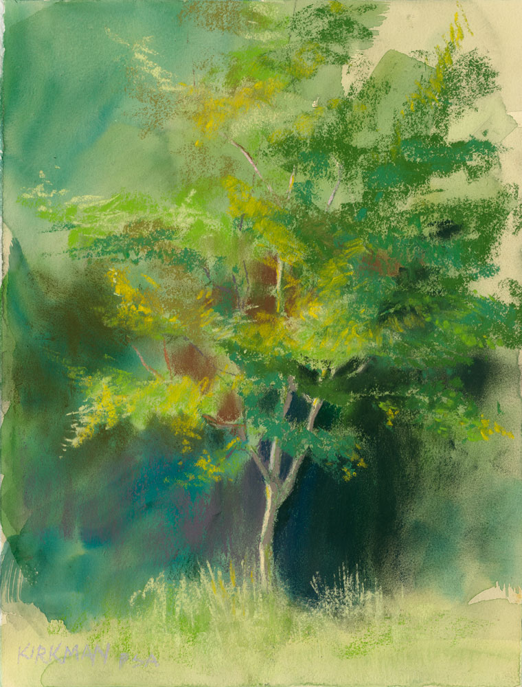 Rita Kirkman's Daily Paintings: Sapling Study