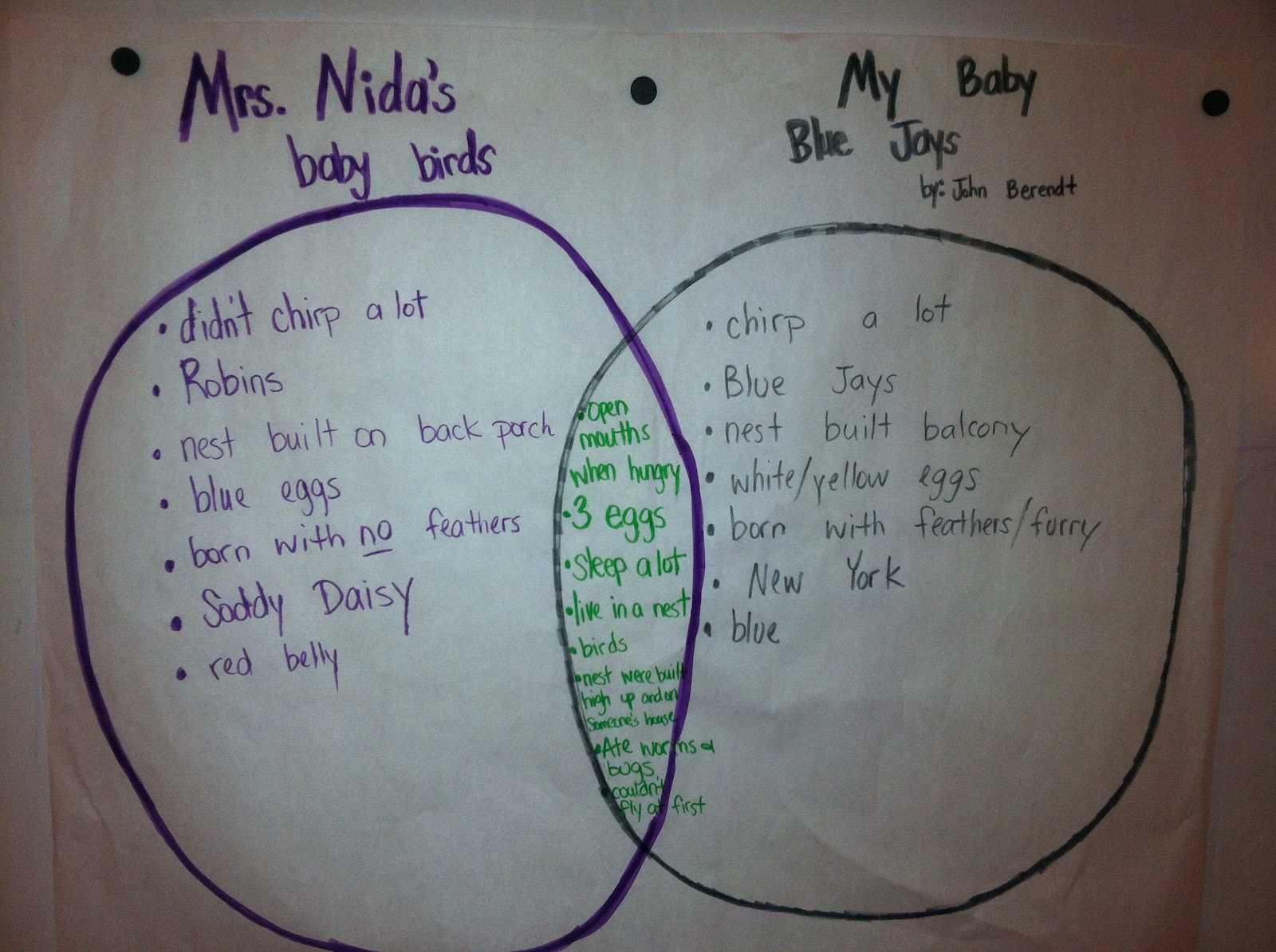 Mrs. Nida's fabulous firsties: More baby bird life cycle & weekly ...