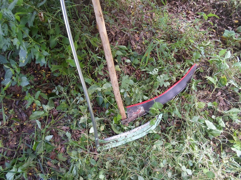 My Experiments With Farming: Scythe from CEC Hyderabad