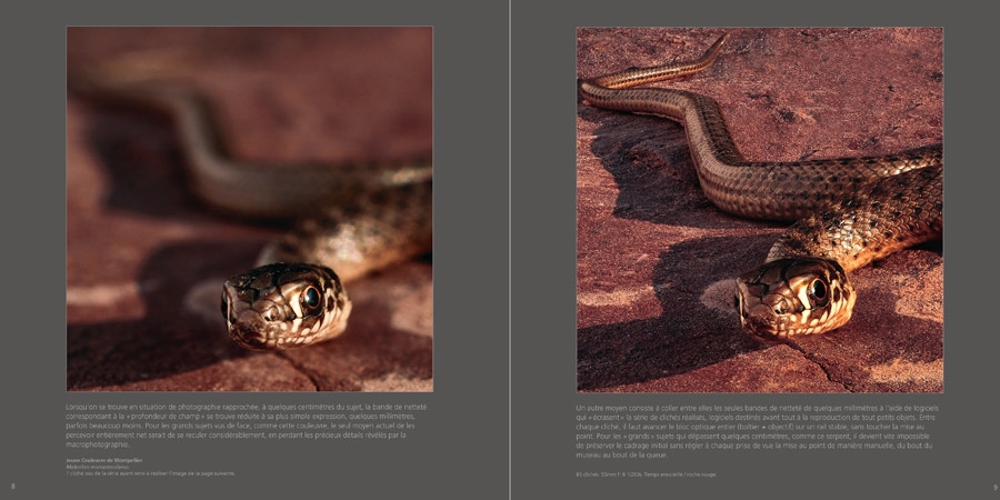 Animalia: Hyper Nature, de Philippe Martin