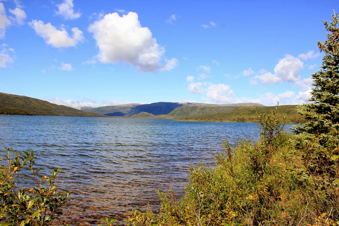 Joy of Discovery: Wonder Lake, Denali National Park