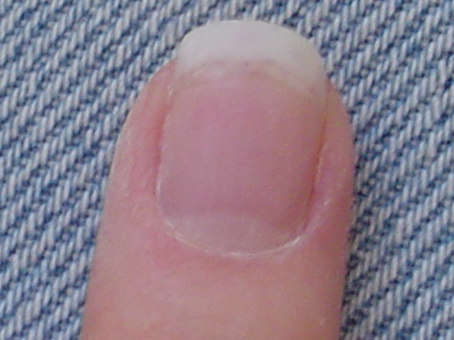 Pro Nail Tech Training: Applying and Blending Tips