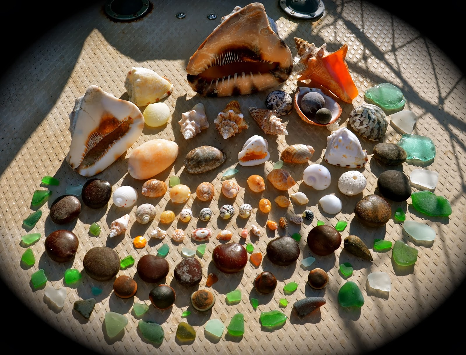 wyattsailing: Big Sand Cay, Turks and Caicos