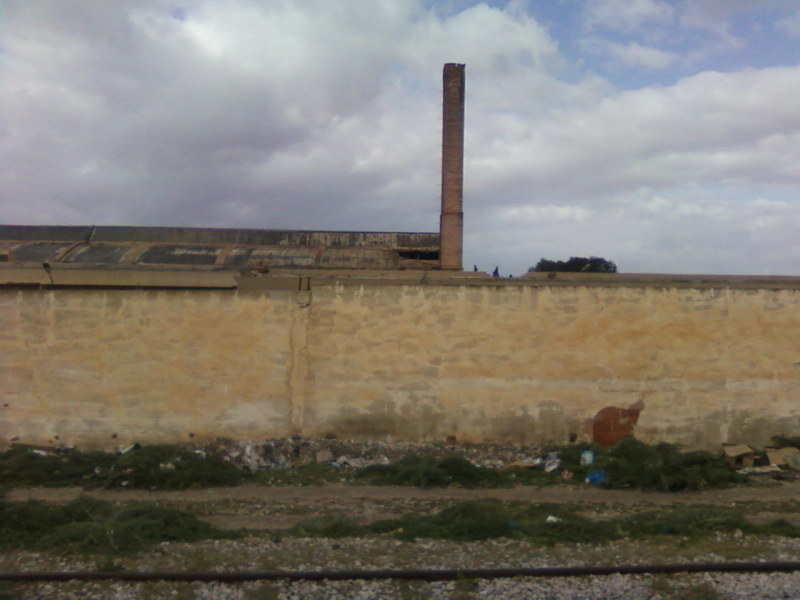 chaiebtaoufik: jemmal monastir tunisie