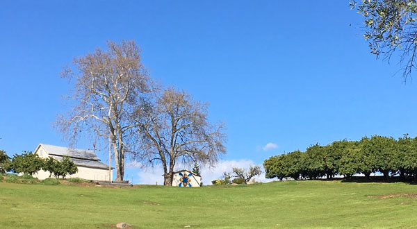 Trails (and Trials): March 2019