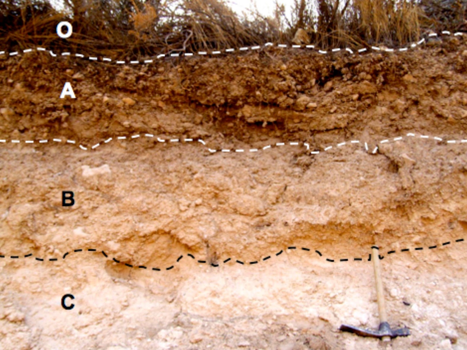 20 FABULOSOS BLOGS : EL SUELO