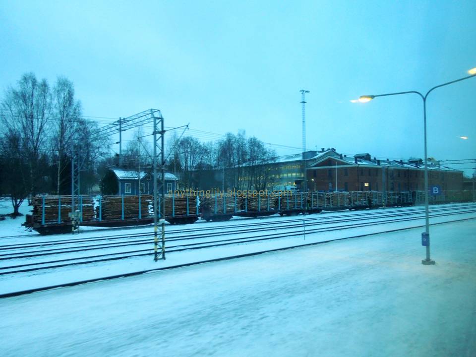 anythinglily: Finland Part 15: Traveling On VR Night Train From ...