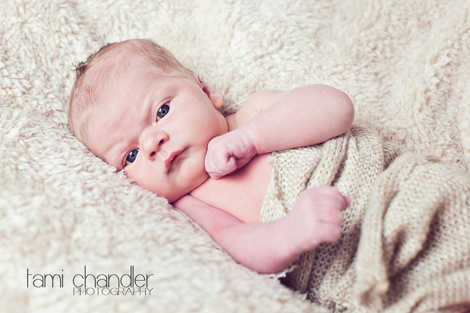 Tami Chandler Photography