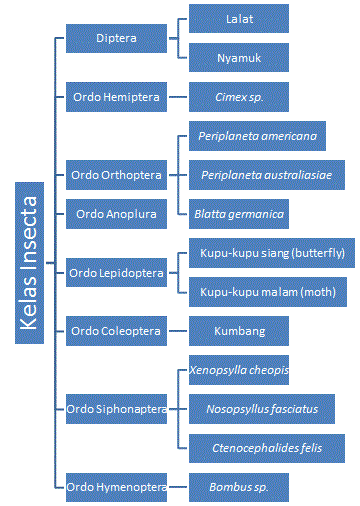 Klasifikasi dan Karakteristik Parasit #1 | MediBlock
