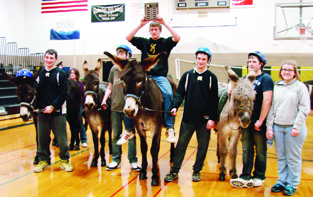 Clearwater Tribune: No shortage of laughter in donkey basketball tournament