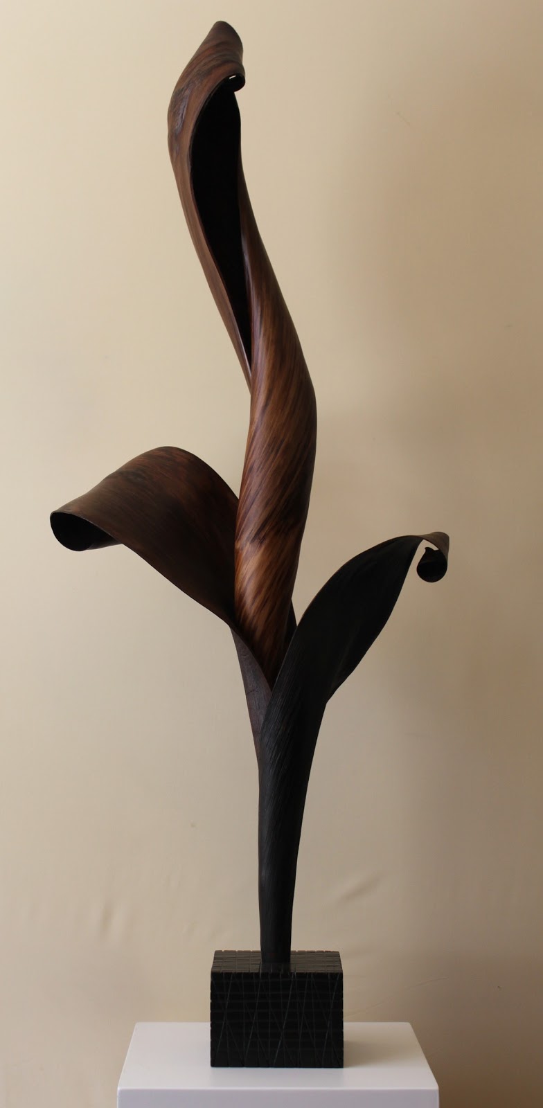 INEDIT: Esculturas de hojas de Pambil