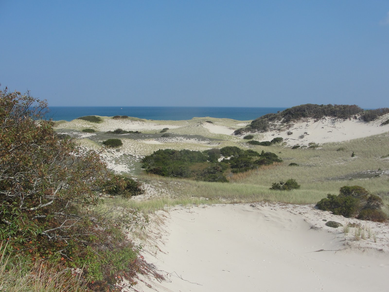sandy neck beach | Mary Richmond's Cape Cod Art and Nature