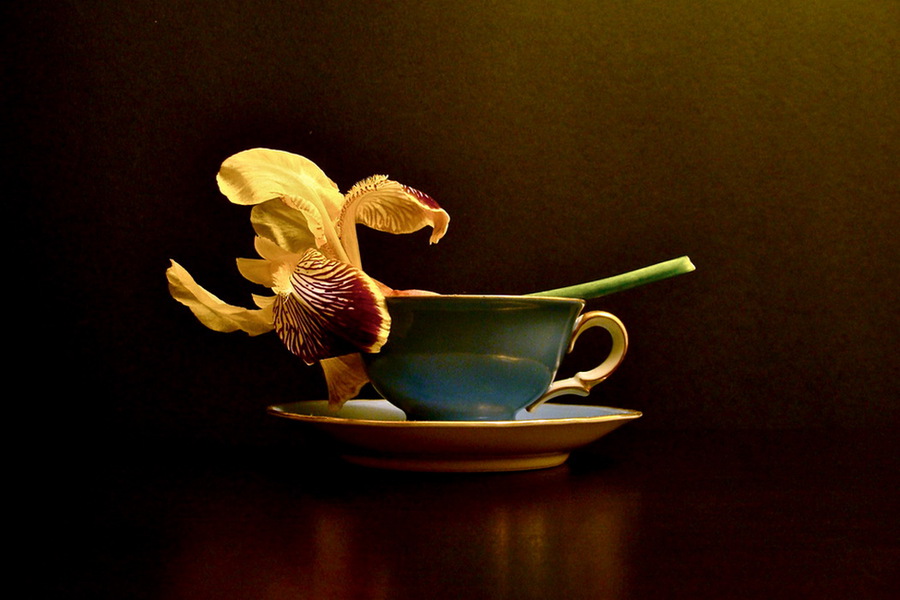 Giuseppe MUSCIO | Catherine La Rose ~ The Poet of Painting