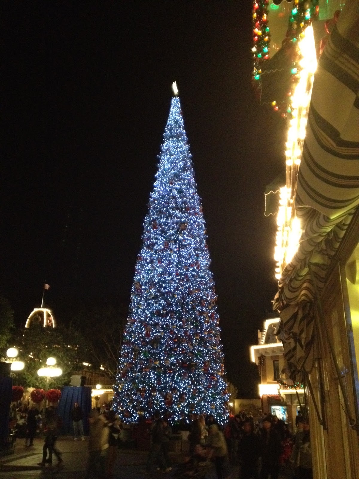 ARIZONA TRAVELER: CHRISTMAS TRIP TO THE O.C.