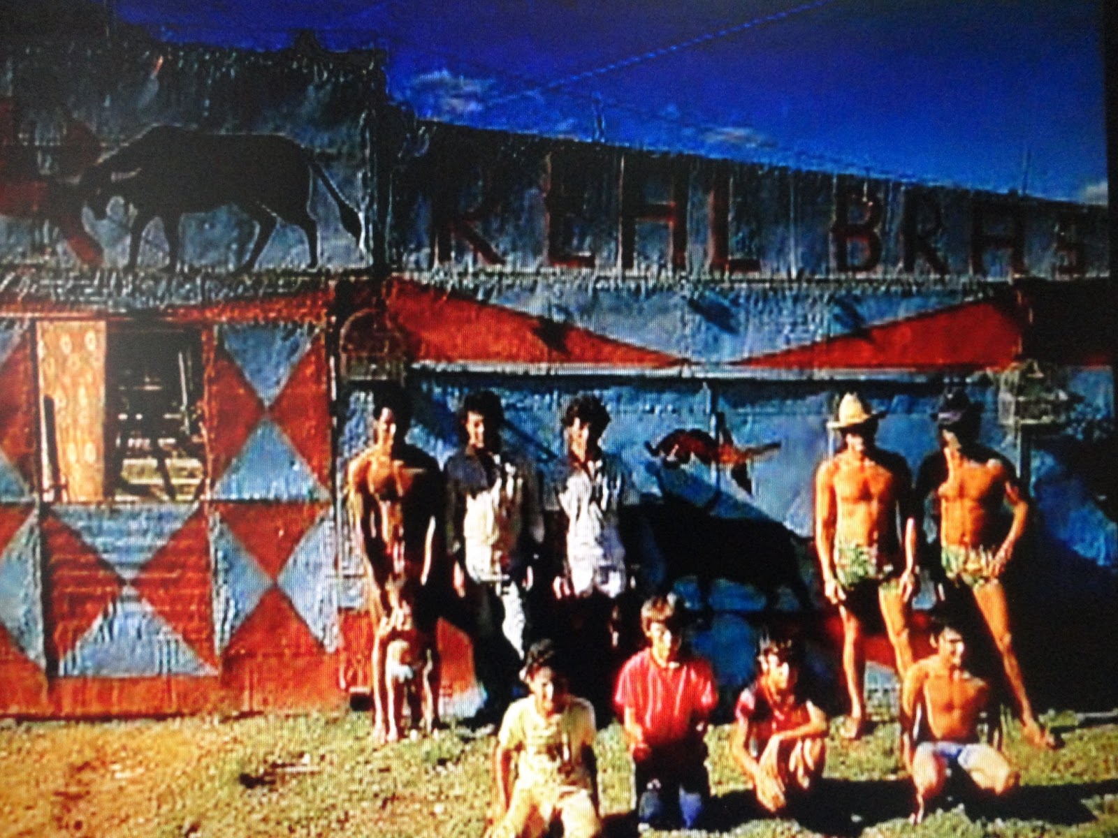 blog do pedro eloi : O Povo Brasileiro 7. - O Brasil Caipira.