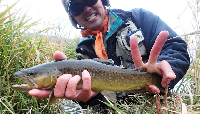 Mountains, Rivers, & Trout: October Summary: Fall Baetis Hatch (& Some ...