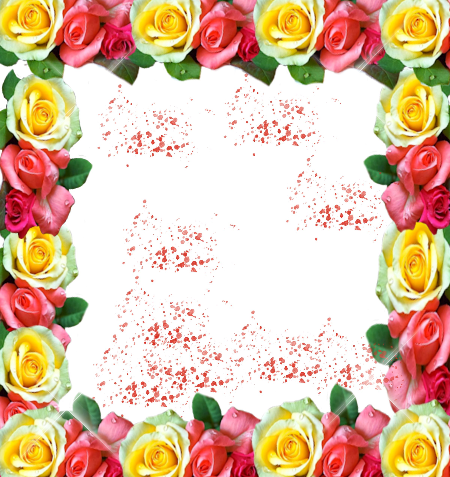 Multicolored Rose Frames