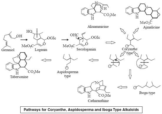 Terpenoid Indole Alkaloids