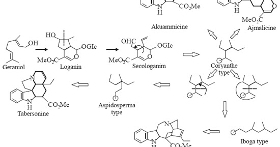 Terpenoid Indole Alkaloids